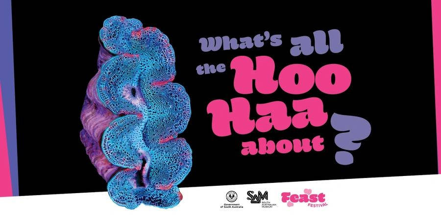 WHat's All the Hoo Haa About? | Bfriend